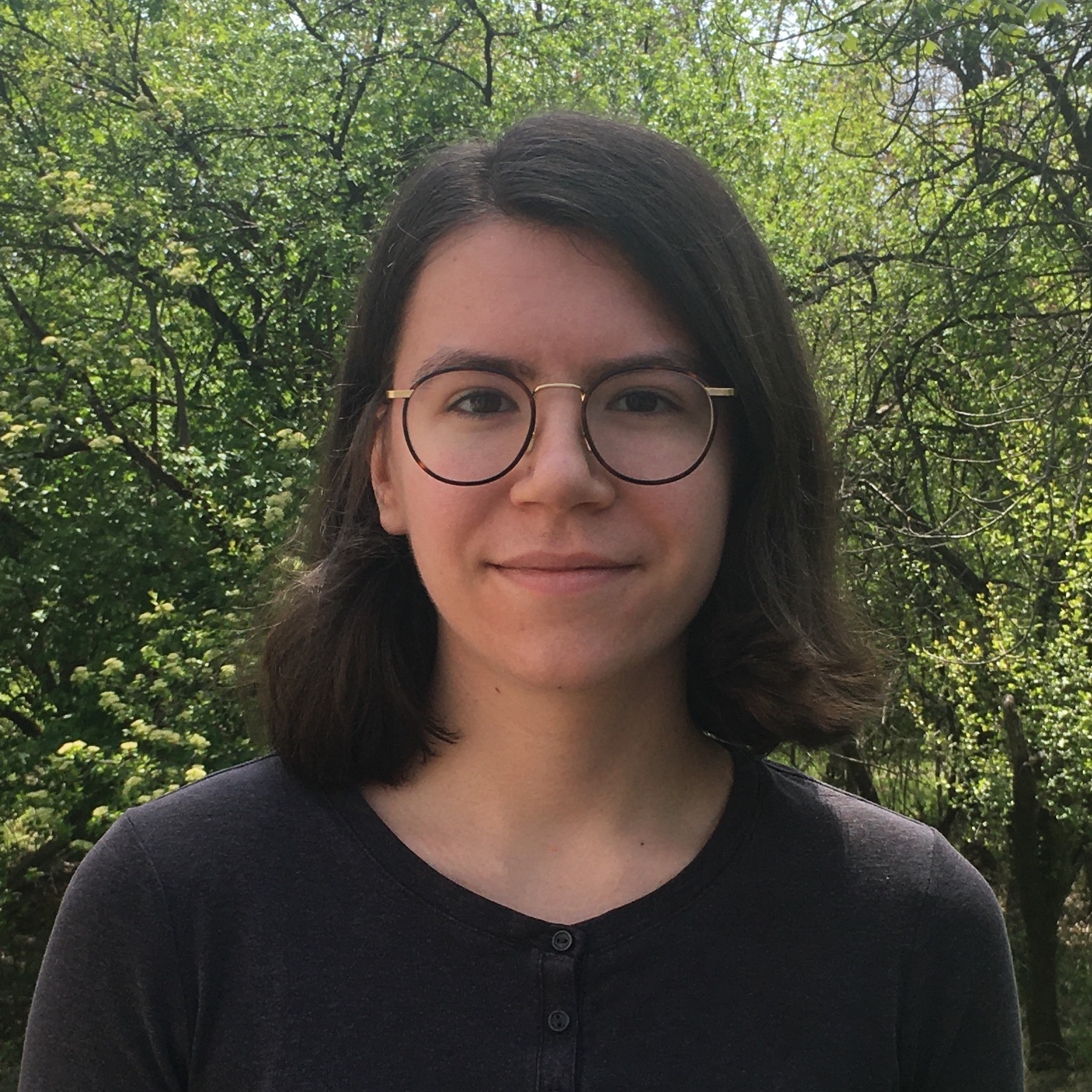 CLMBR: the Computation, Language, and Meaning Band of Researchers ...